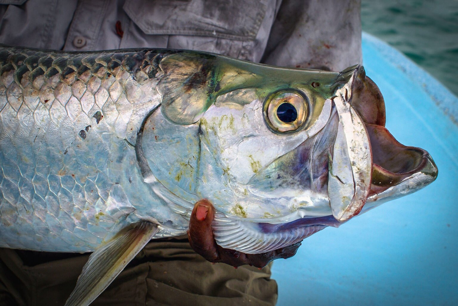 AMBERGRIS CAYE, SAN PEDRO, BELIZE - Nomada Fly Fish